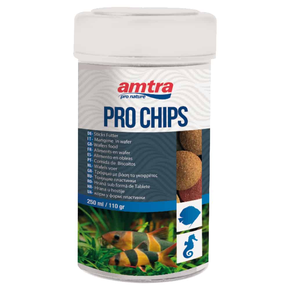 AMTRA | PRO CHIPS 250 ml – Pet Parade