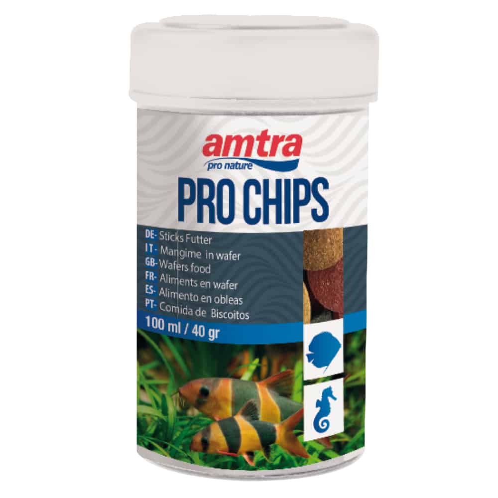 AMTRA | PRO CHIPS 100 ml – Pet Parade
